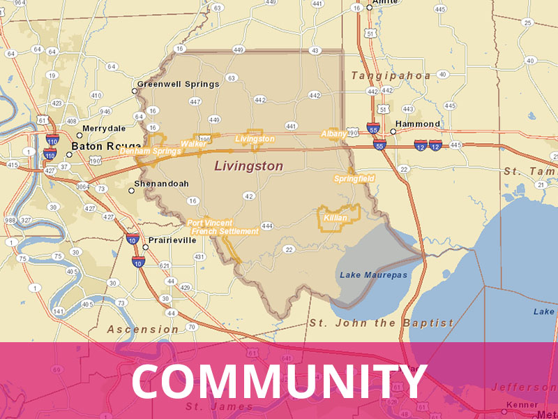 Adults | Livingston Parish Library